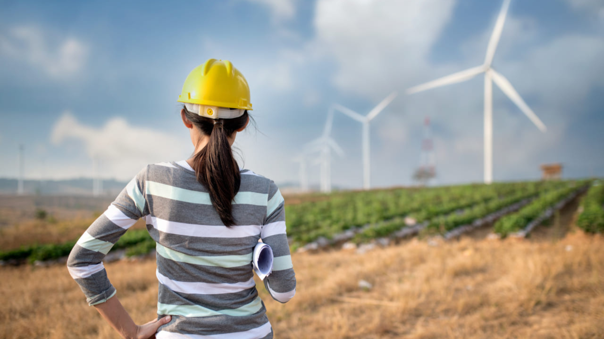 Innovaciones Tecnológicas Sostenibles: Explora cómo la tecnología se ...